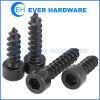 Speaker Mounting Bolts Stainless Steel Hex Cap Head Tapping Screw