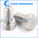 Stainless Steel Machine Bolts Custom Special Ladder Double Male Thread