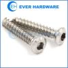 Bevel Head Screw Clutch Inspection Cover Allen Flush Fastening Plates