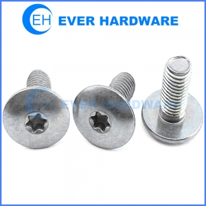 Large Diameter Truss Head Screw Marine Bolt Supply Torx Head Custom